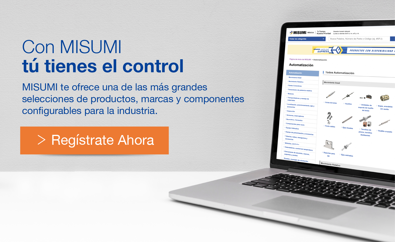 Español - MISUMI México